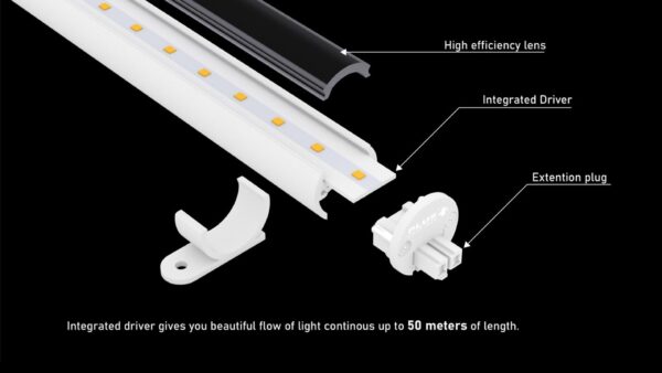 Dione Cove – Plus Light Tech